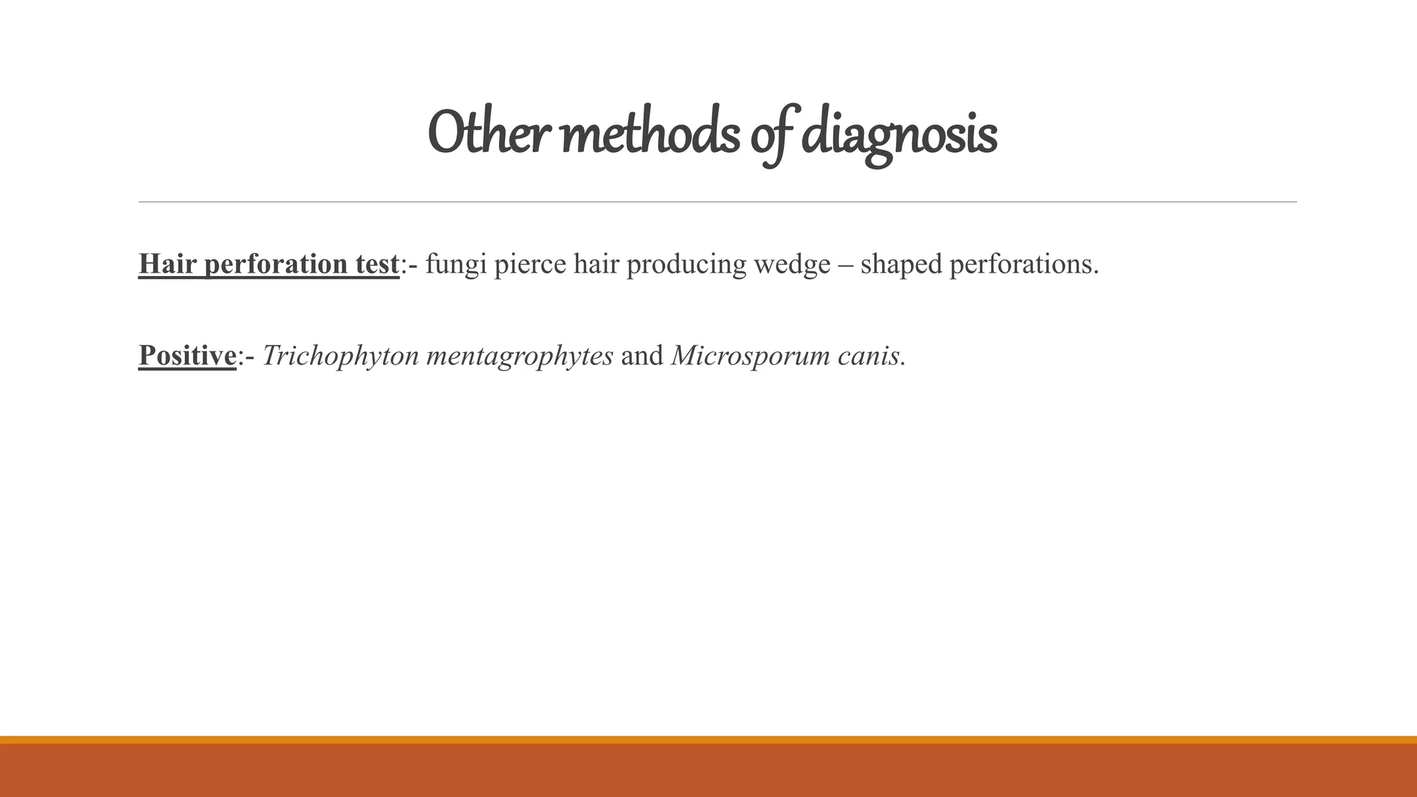 Dermatophytes | PPTX