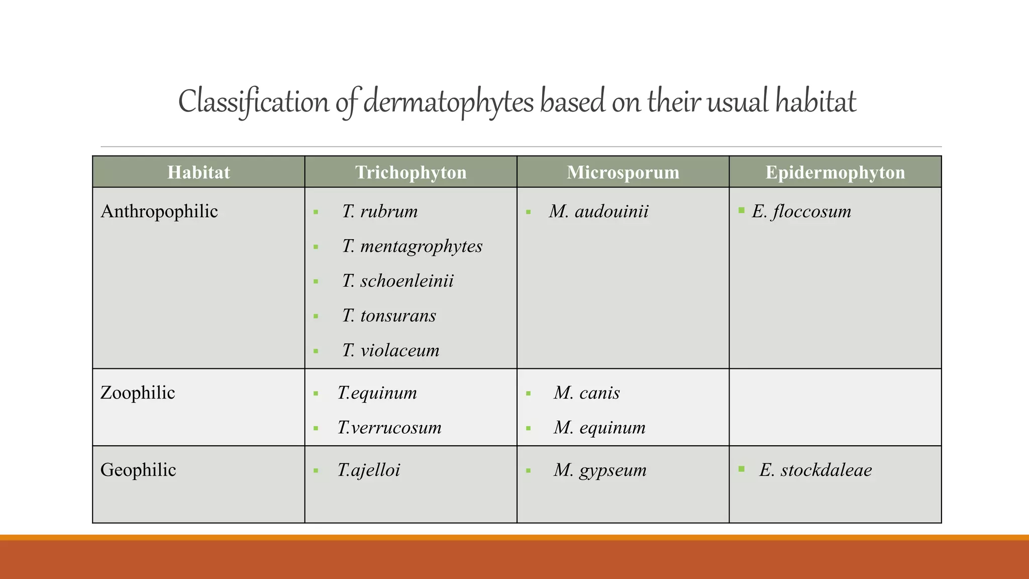 Dermatophytes | PPTX