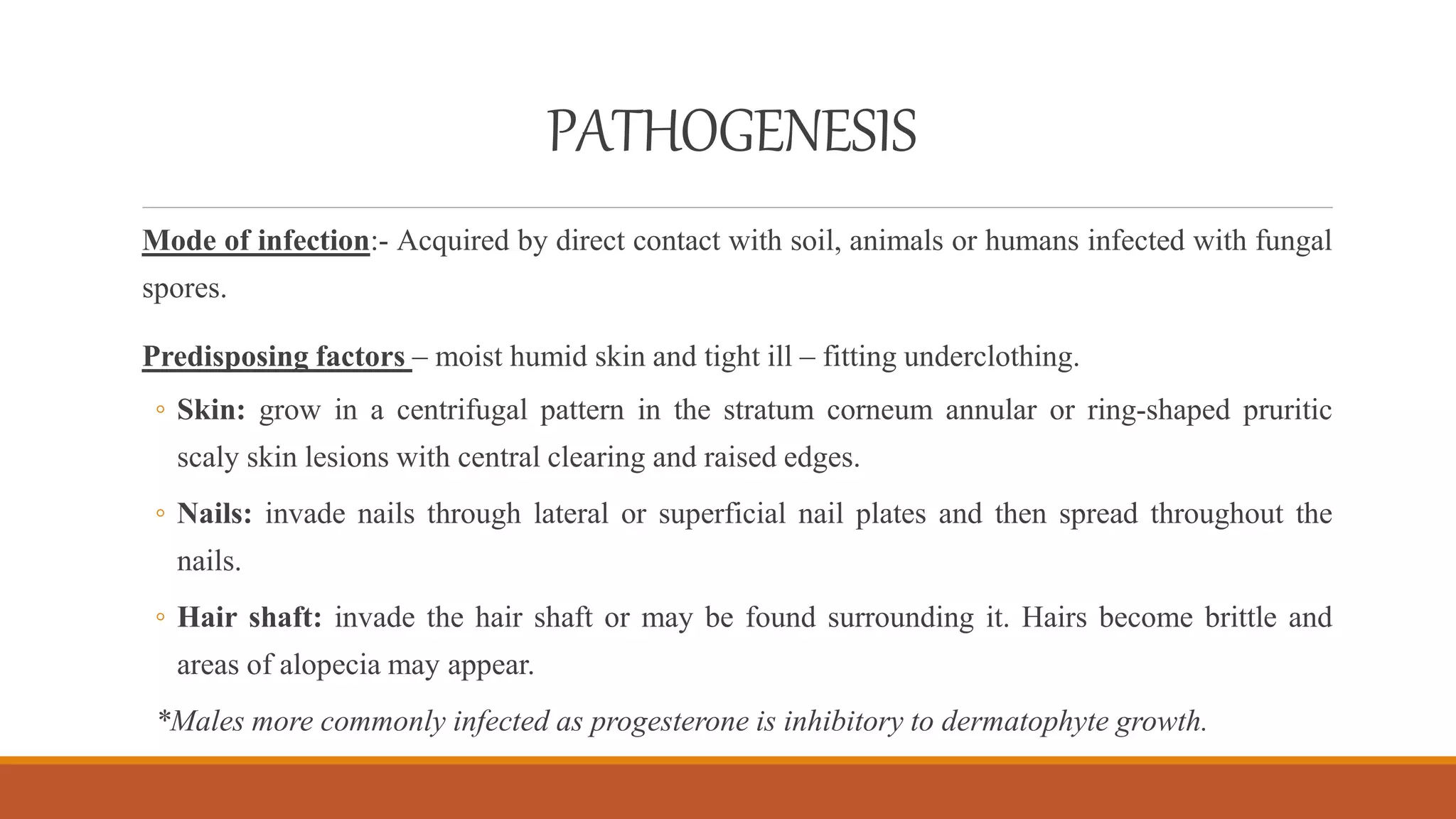 Dermatophytes | PPTX