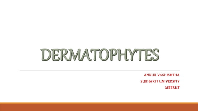 Dermatophytes | PPTX | Skin and Dermatology | Diseases and Conditions