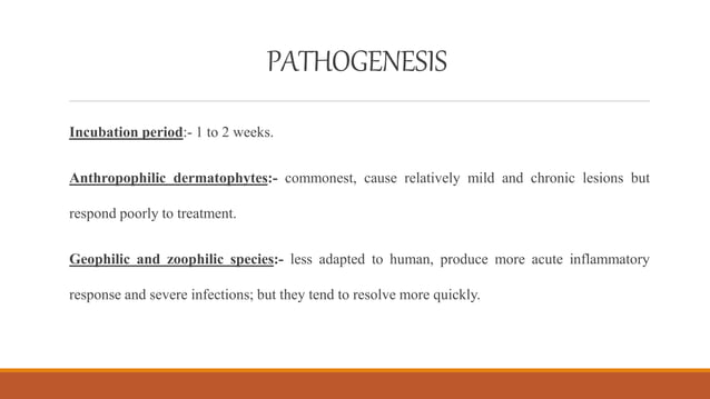 Dermatophytes | PPTX | Skin and Dermatology | Diseases and Conditions