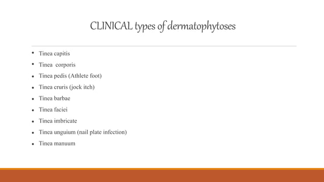 Dermatophytes | PPTX | Skin and Dermatology | Diseases and Conditions