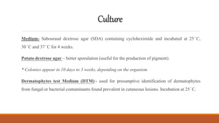 Dermatophytes | PPTX