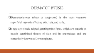 Dermatophytes | PPTX