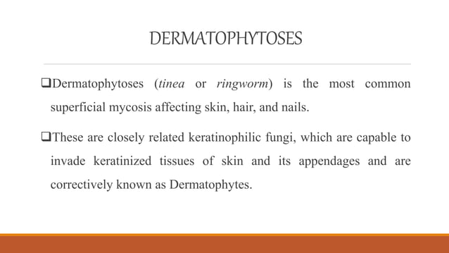 Dermatophytes | PPTX | Skin and Dermatology | Diseases and Conditions