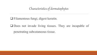 Dermatophytes | PPTX