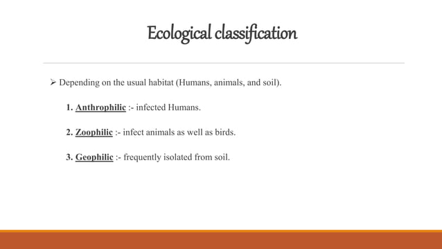 Dermatophytes | PPTX | Skin and Dermatology | Diseases and Conditions