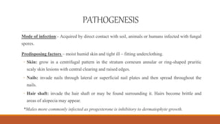 Dermatophytes | PPTX