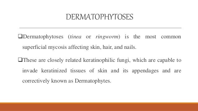 Dermatophytes