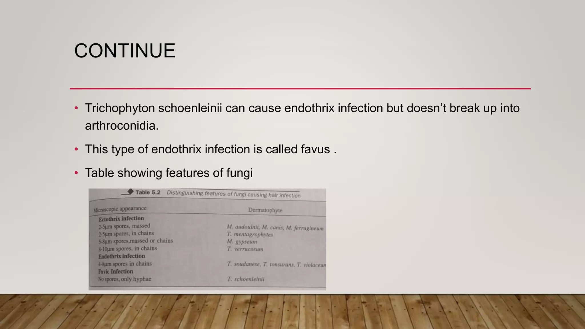 Dermatophytes , morphology, lifecycle and lab diagnosis | PPTX