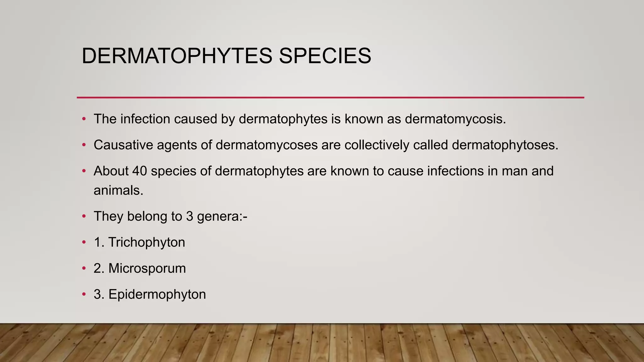 Dermatophytes , morphology, lifecycle and lab diagnosis | PPTX