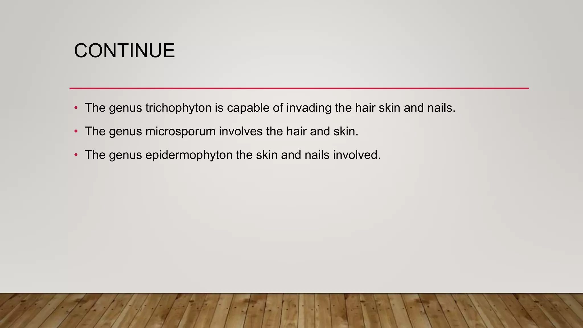 Dermatophytes , morphology, lifecycle and lab diagnosis | PPT