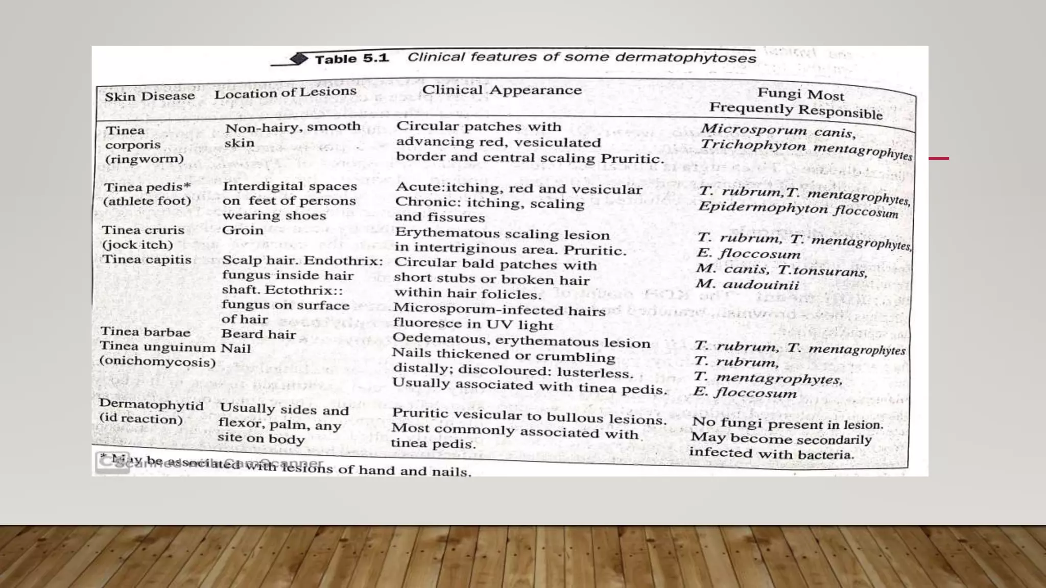 Dermatophytes , morphology, lifecycle and lab diagnosis | PPTX
