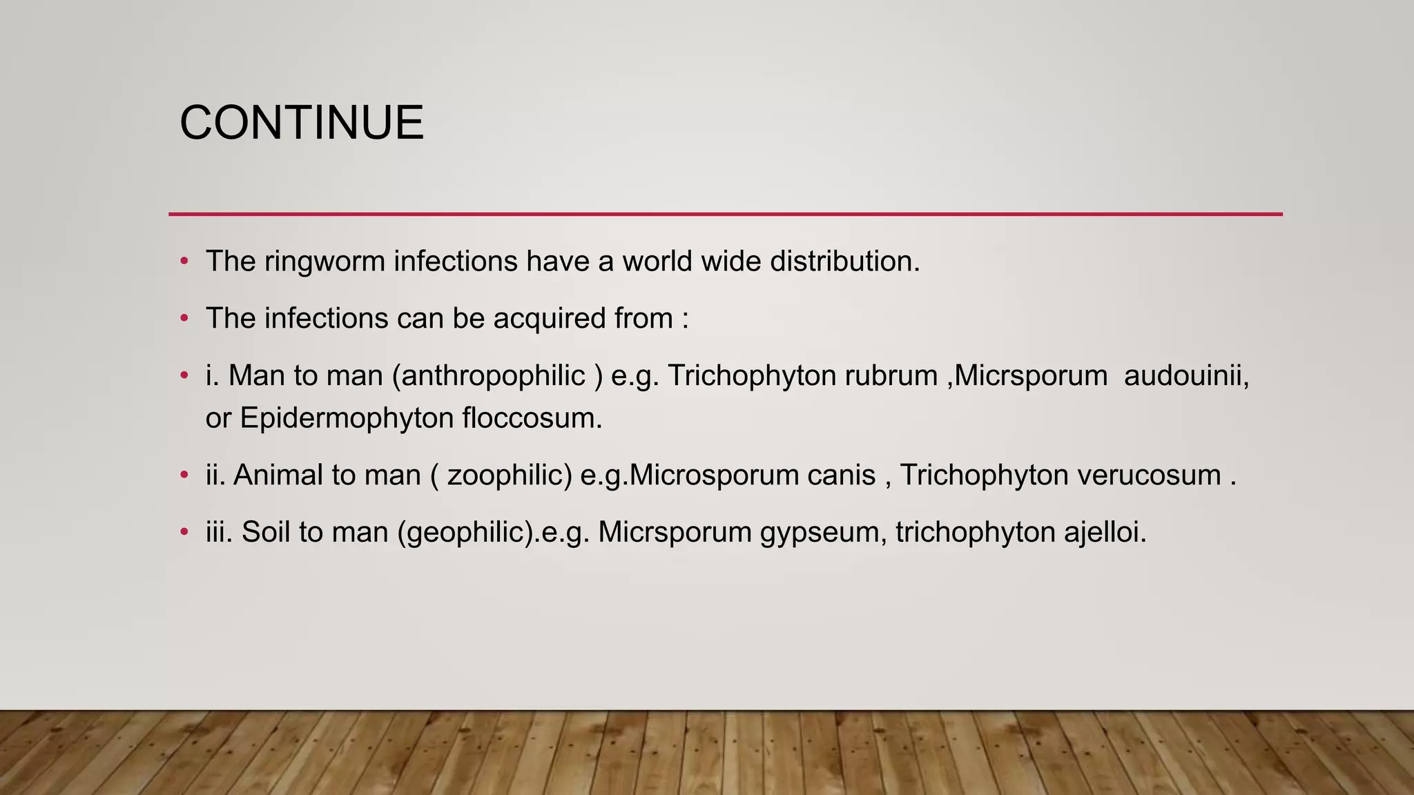 Dermatophytes , morphology, lifecycle and lab diagnosis | PPTX