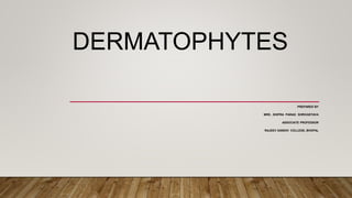Dermatophytes , morphology, lifecycle and lab diagnosis | PPTX