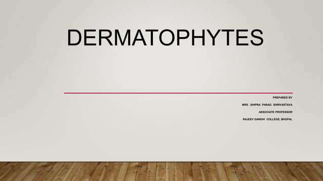 Dermatophytes , morphology, lifecycle and lab diagnosis | PPTX