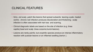Dermatophytes , morphology, lifecycle and lab diagnosis | PPTX