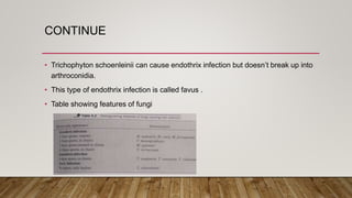 Dermatophytes , morphology, lifecycle and lab diagnosis | PPT