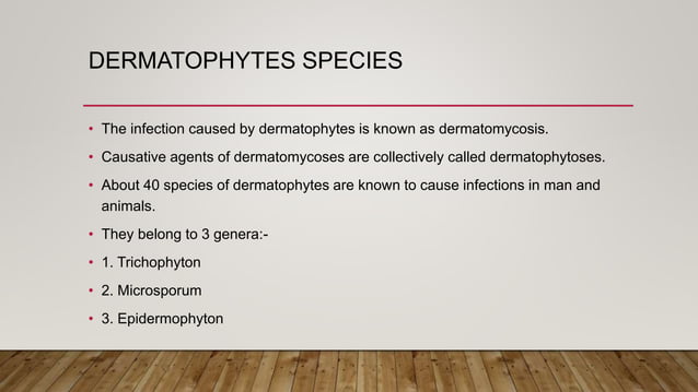 Dermatophytes , morphology, lifecycle and lab diagnosis | PPTX