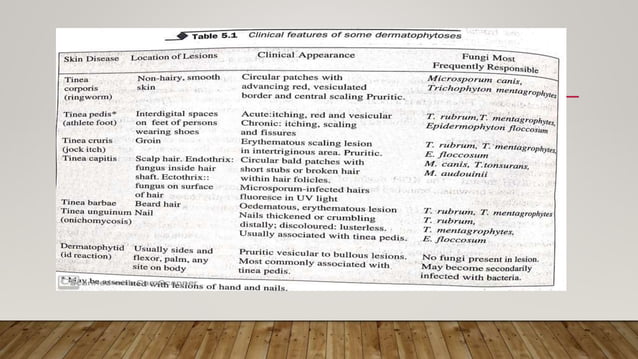 Dermatophytes , morphology, lifecycle and lab diagnosis | PPTX