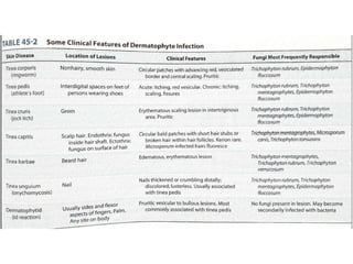 Dermatophytes.ppt