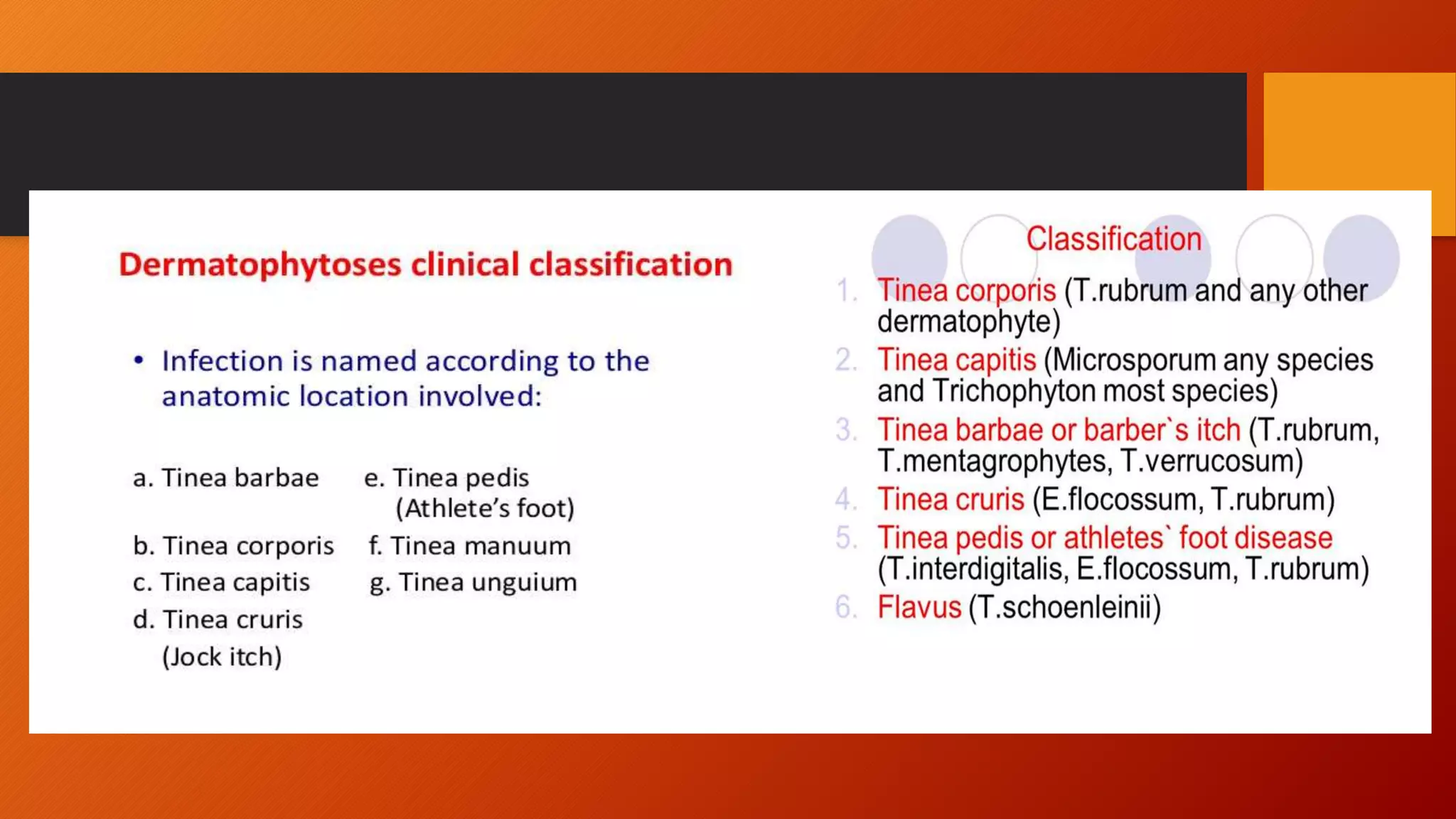 Dermatophytes .pptx | Skin and Dermatology | Diseases and Conditions