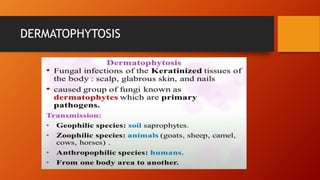 Dermatophytes .pptx