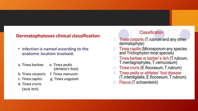 Dermatophytes .pptx | Skin and Dermatology | Diseases and Conditions
