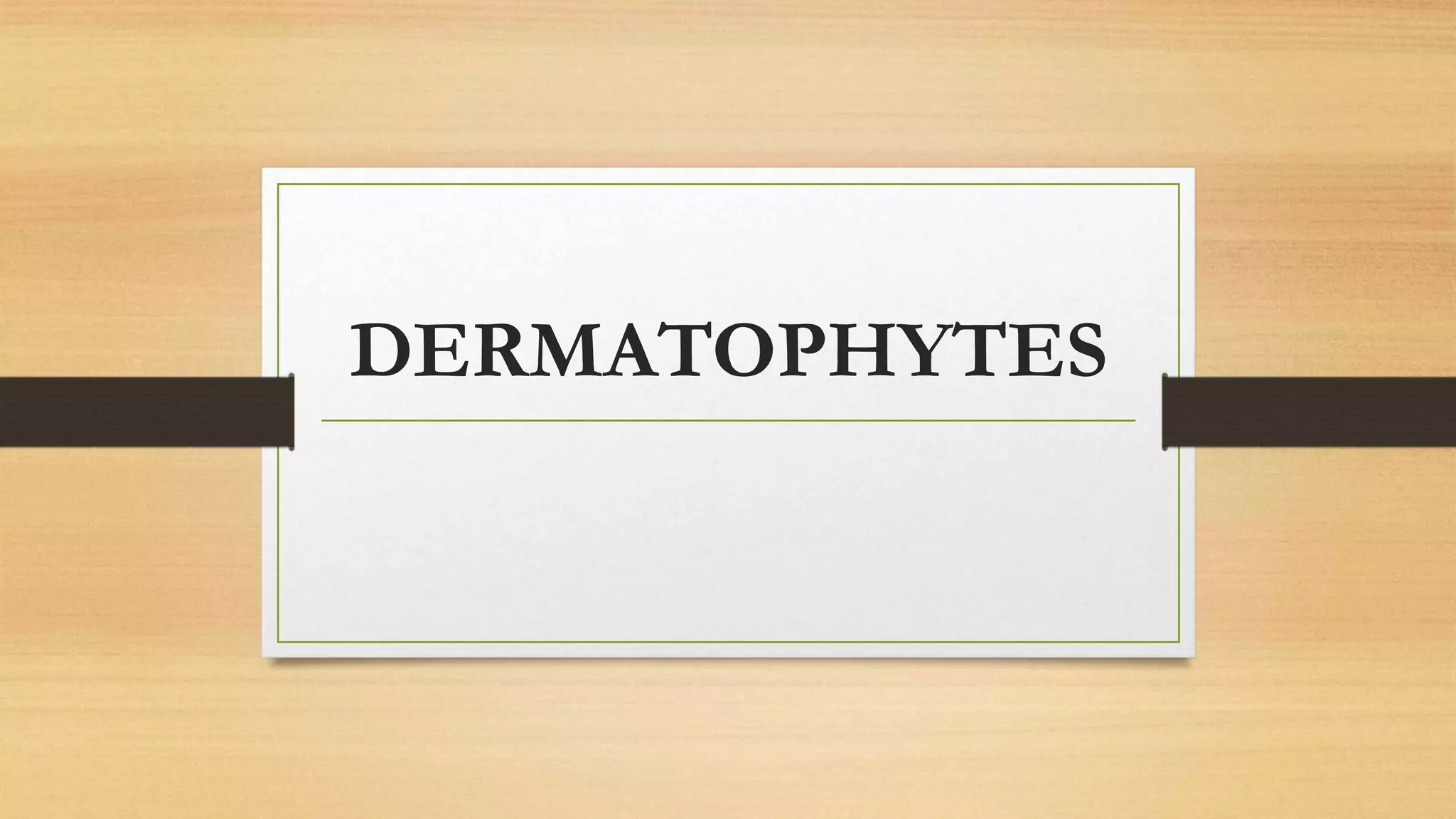 dermatophytes.pptx
