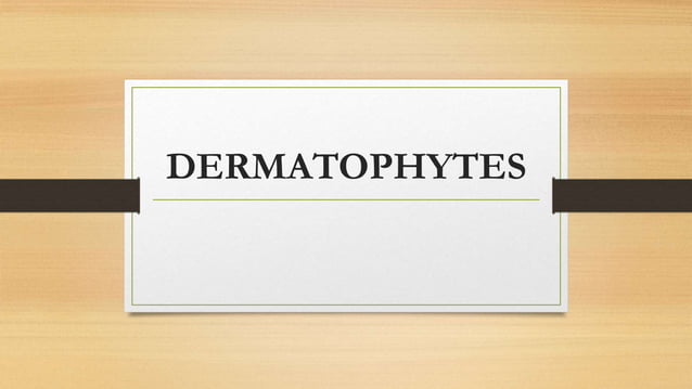 dermatophytes.pptx