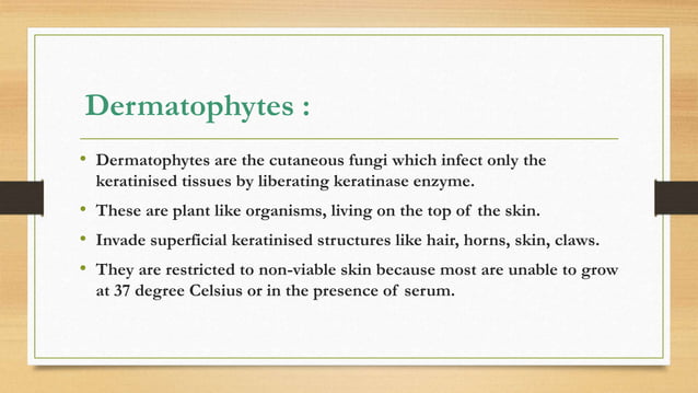 dermatophytes.pptx