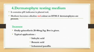 dermatophytes.pptx