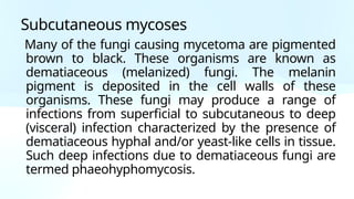 Dermatophytes-Microsporum,Epidermophyton and Trichophyton.pptx