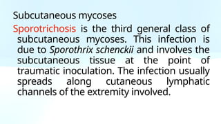 Dermatophytes-Microsporum,Epidermophyton and Trichophyton.pptx