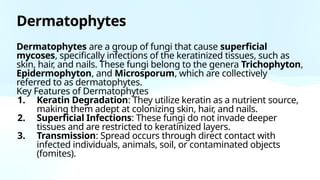 Dermatophytes-Microsporum,Epidermophyton and Trichophyton.pptx