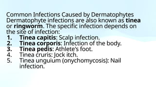 Dermatophytes-Microsporum,Epidermophyton and Trichophyton.pptx