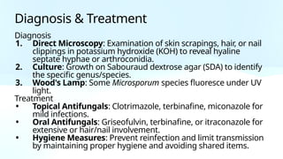 Dermatophytes-Microsporum,Epidermophyton and Trichophyton.pptx