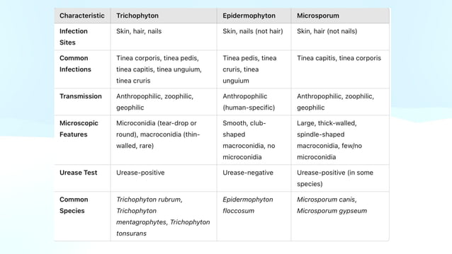 Dermatophytes-Microsporum,Epidermophyton and Trichophyton.pptx
