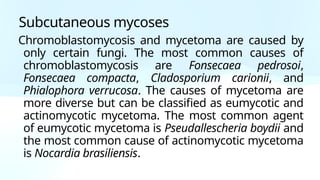 Dermatophytes-Microsporum,Epidermophyton and Trichophyton.pptx