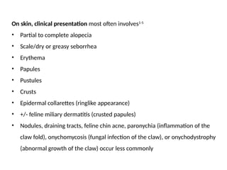Varous Fungal agents causing dermatitis in human and animals. | PPTX