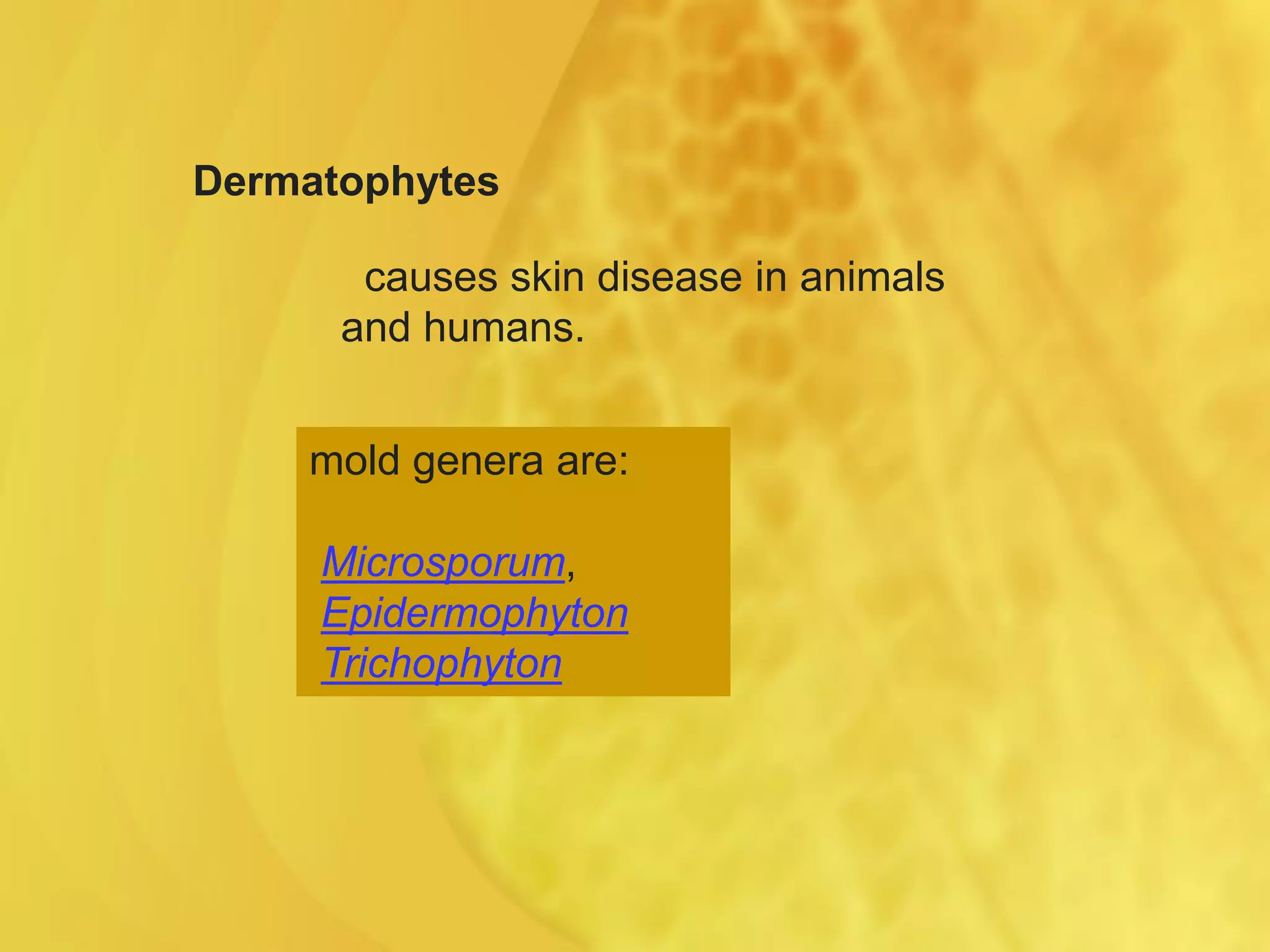 diseases caused by dermatophytes | PDF