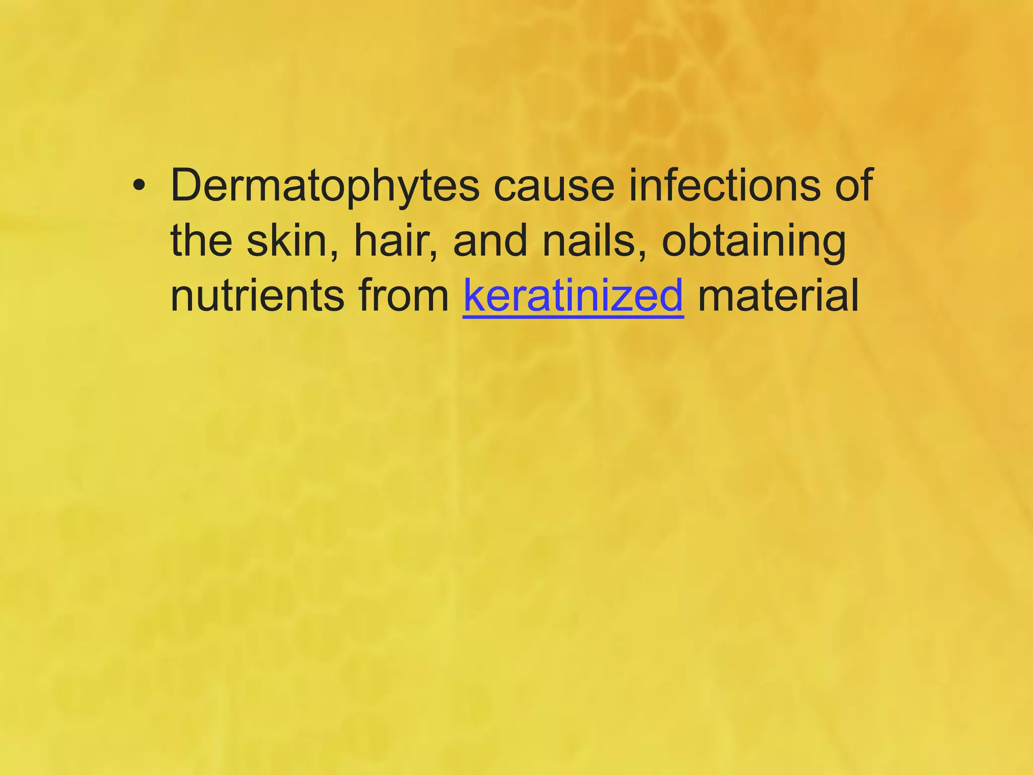 diseases caused by dermatophytes | PDF