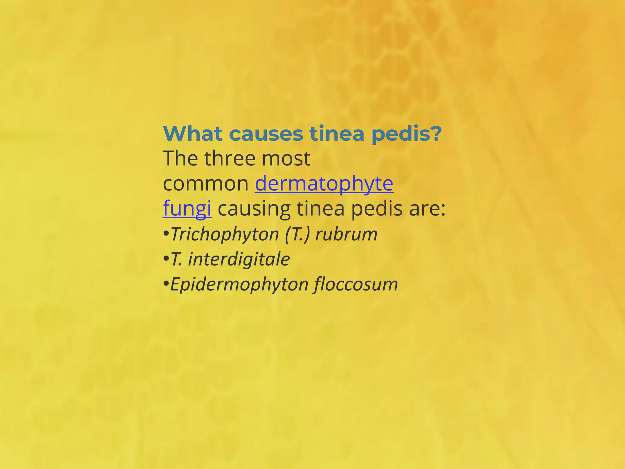 diseases caused by dermatophytes | PDF