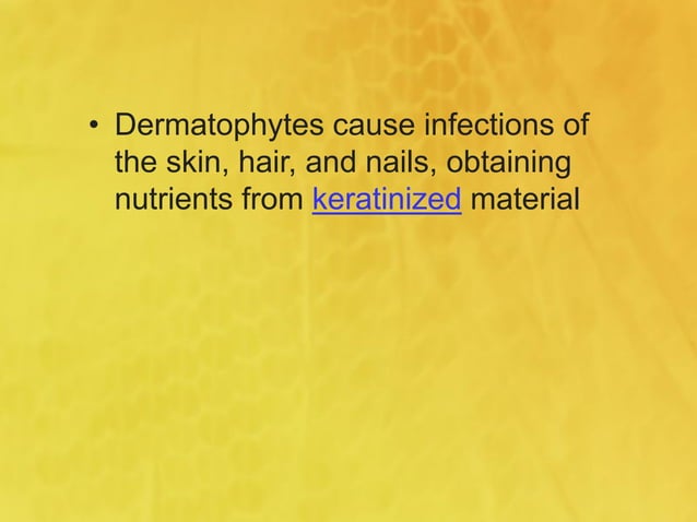 diseases caused by dermatophytes | PDF
