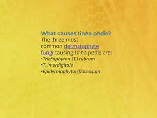 diseases caused by dermatophytes | PDF