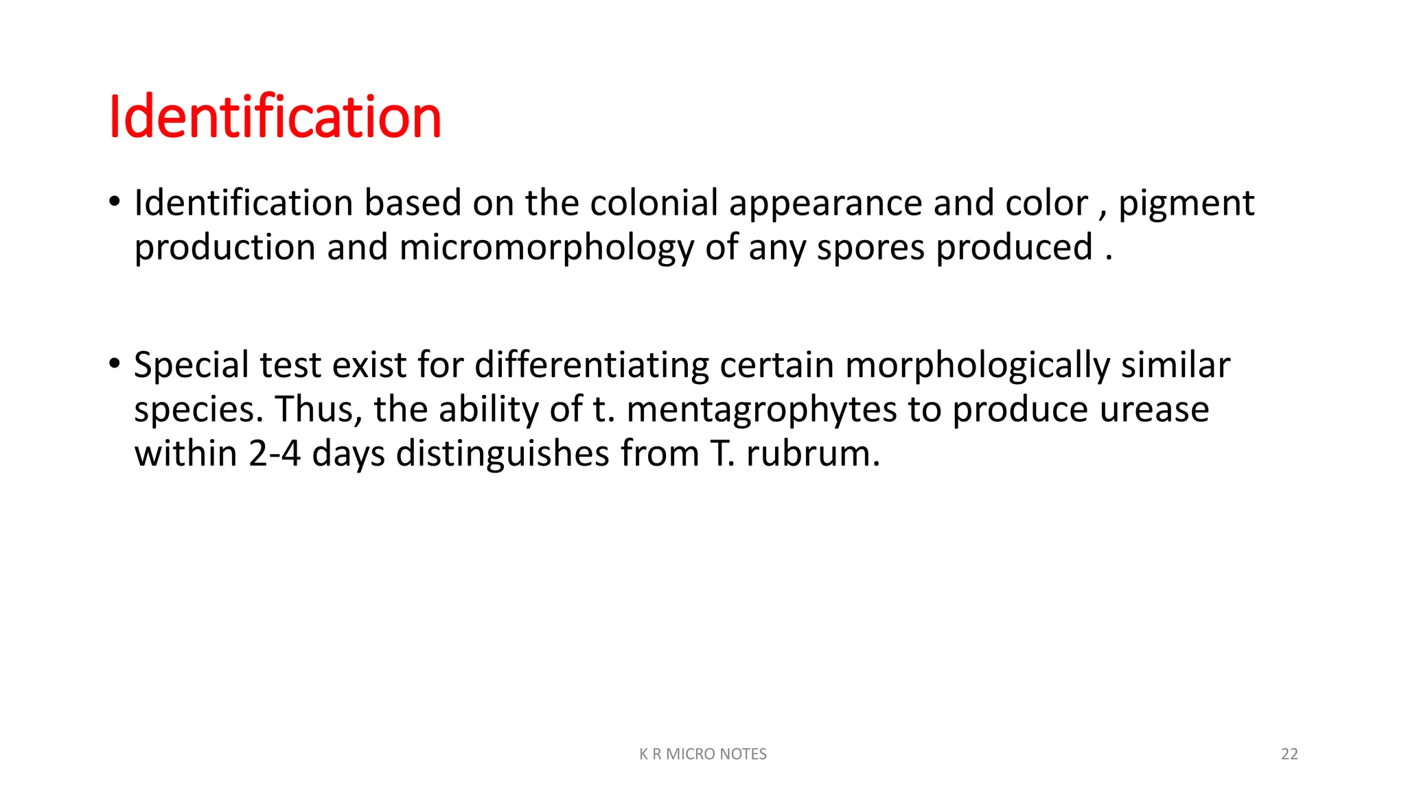 DERMATOPHYTES SUPERFICIAL MYCOSES K R.pptx