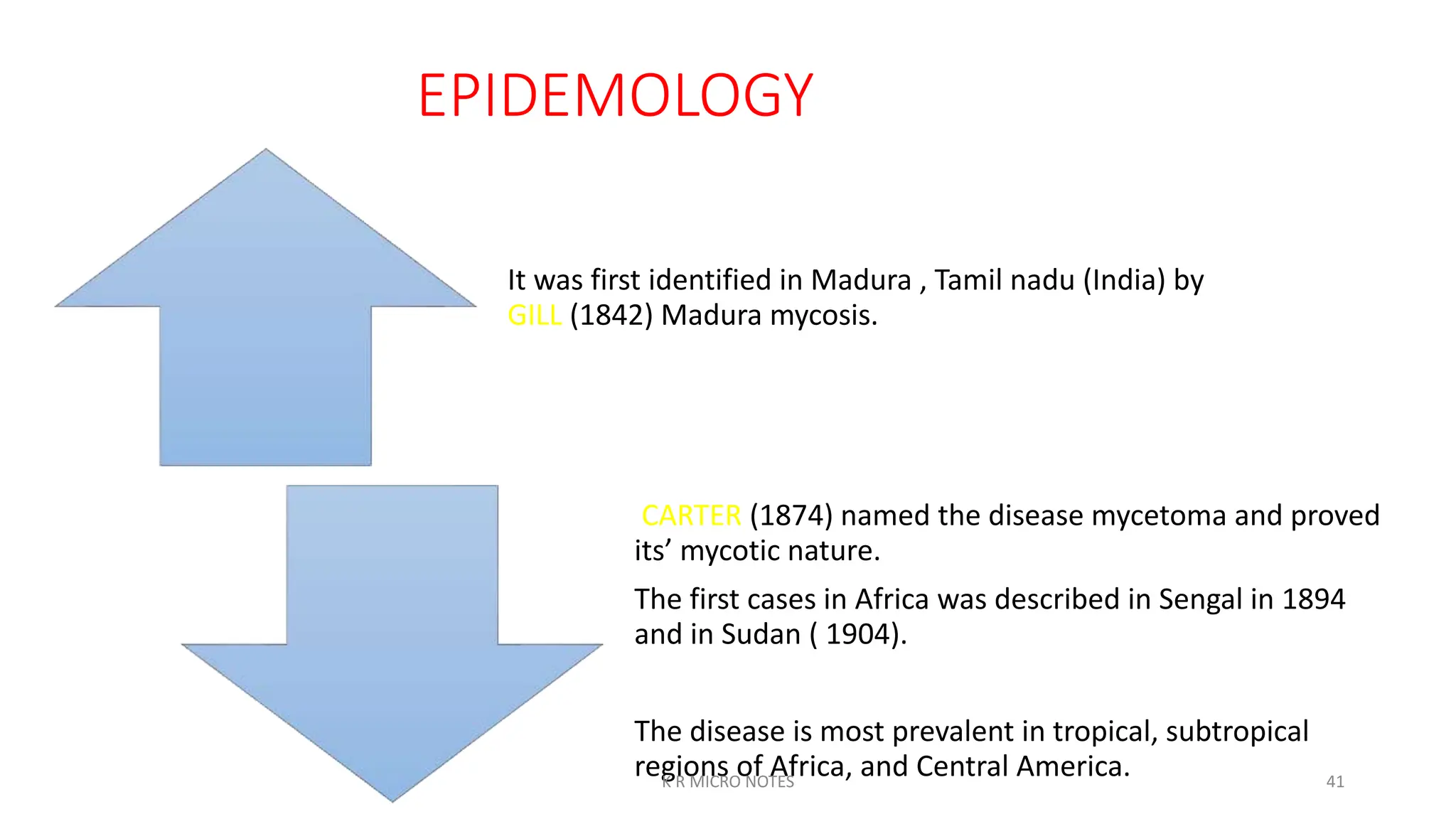 DERMATOPHYTES SUPERFICIAL MYCOSES K R.pptx