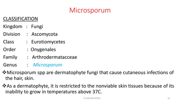 DERMATOPHYTES SUPERFICIAL MYCOSES K R.pptx