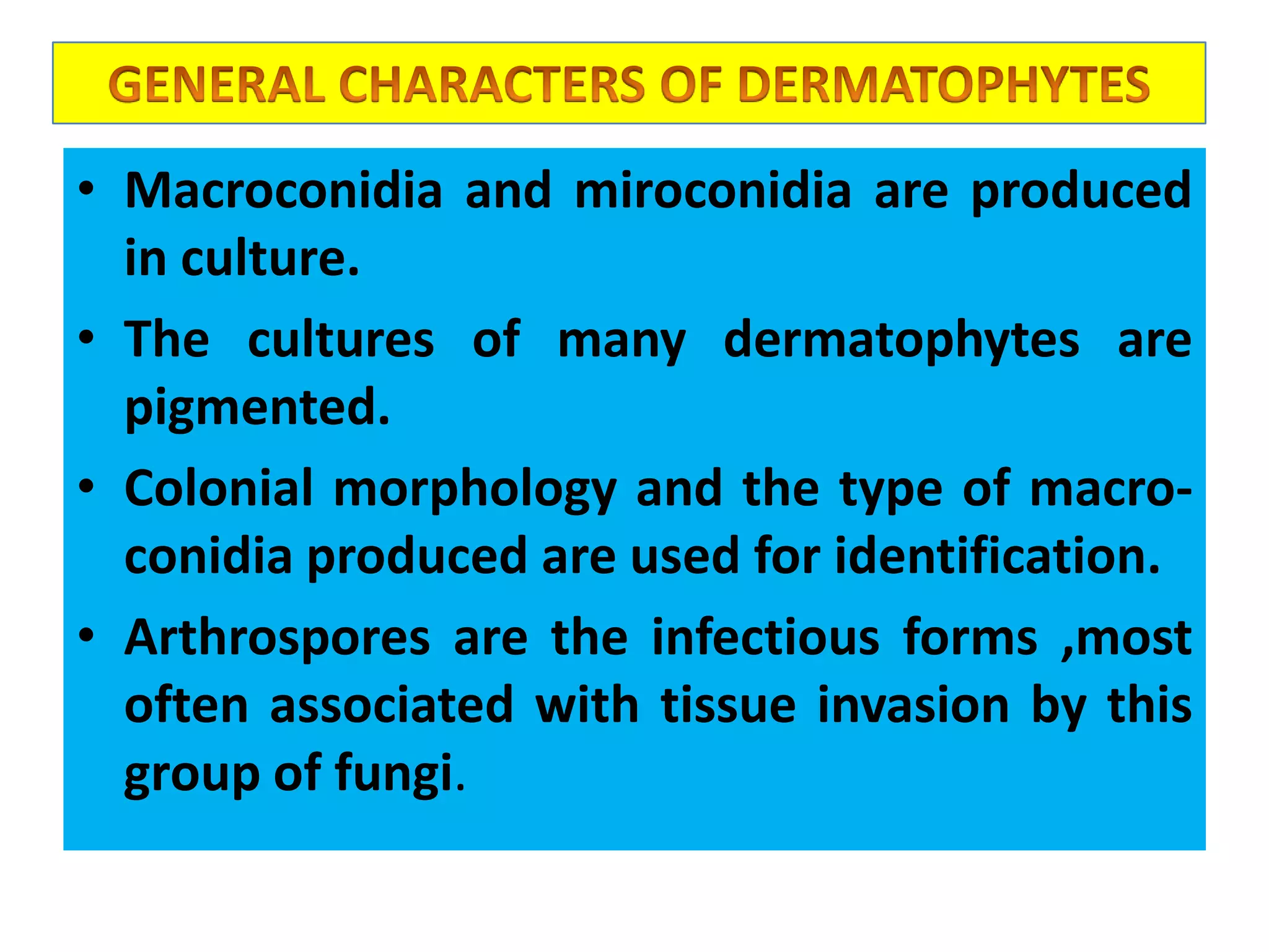 Dermatophytes undergraduates | PPTX