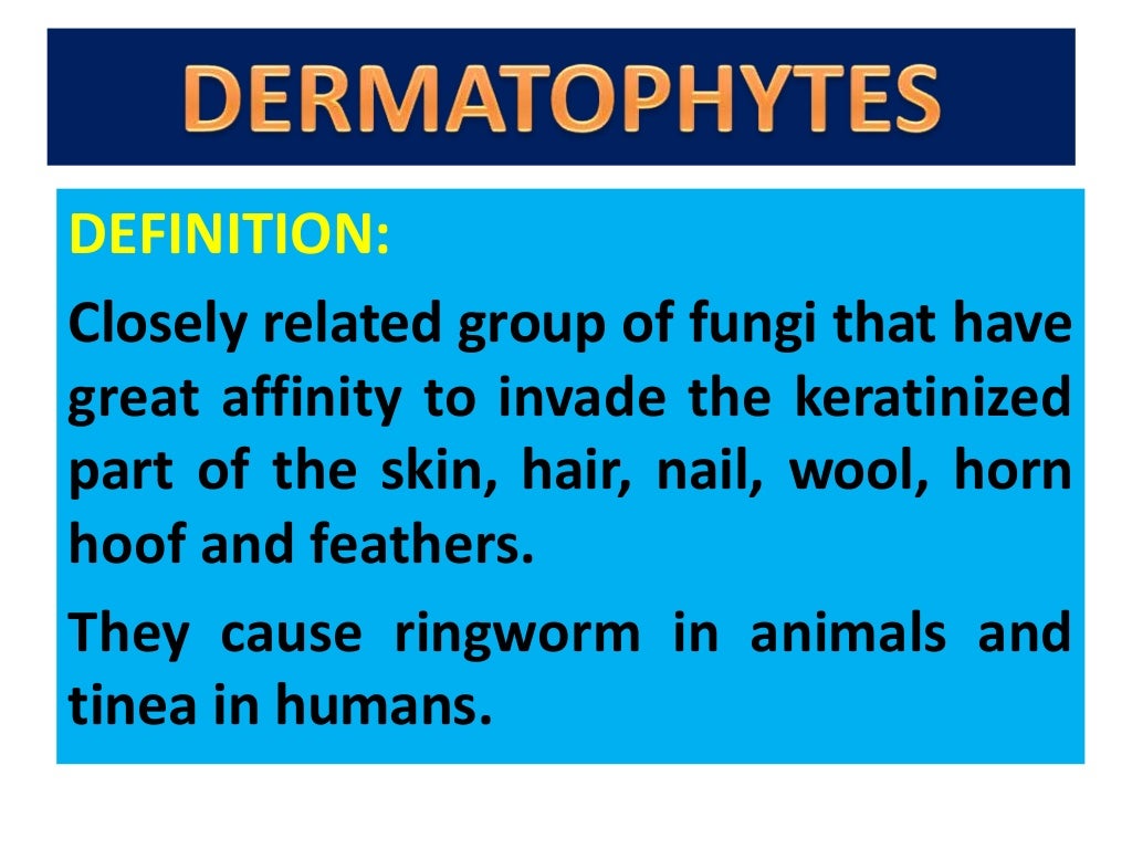 Dermatophytes undergraduates